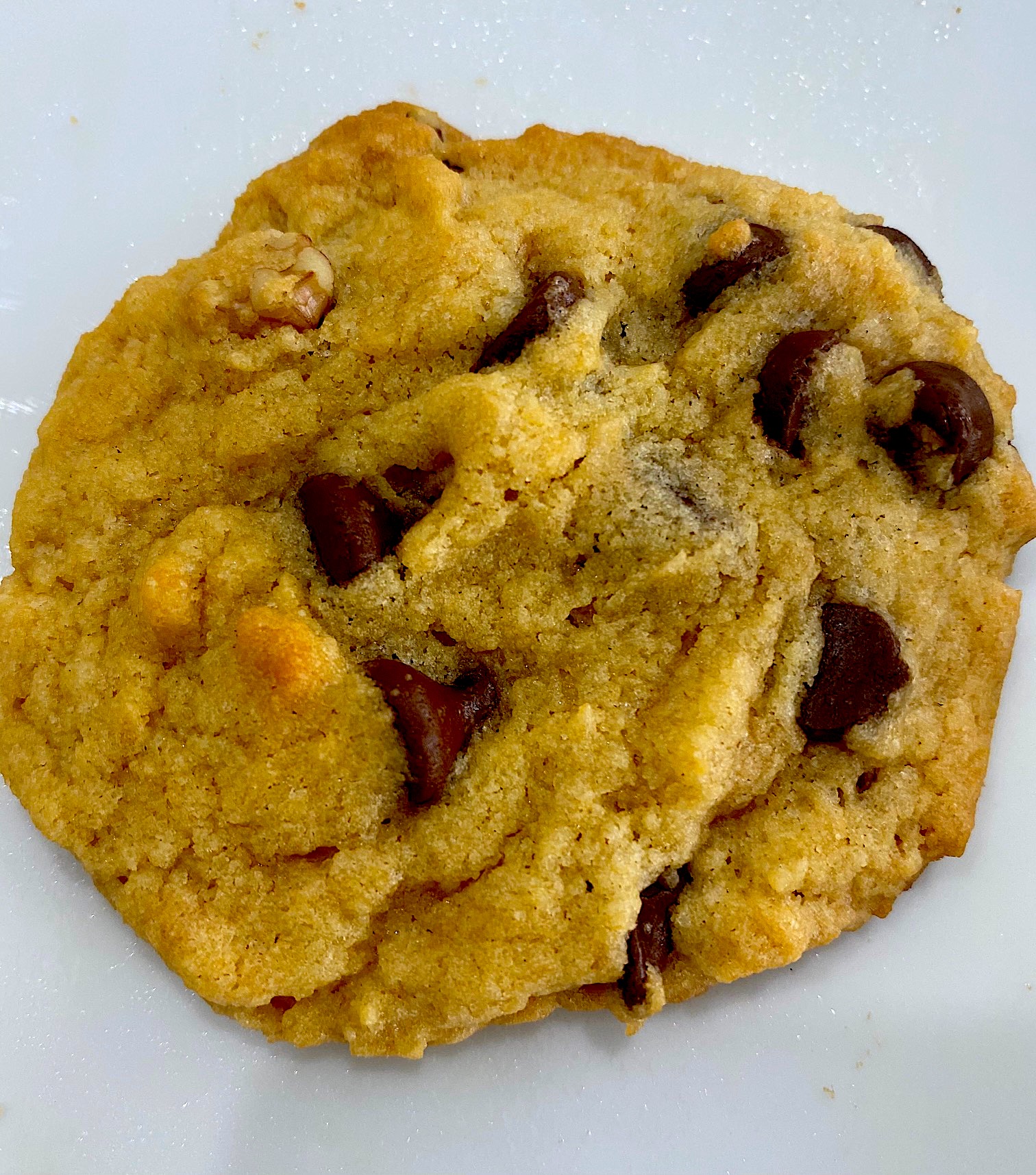 A creative forum to share my thoughts on living my best life– including ...